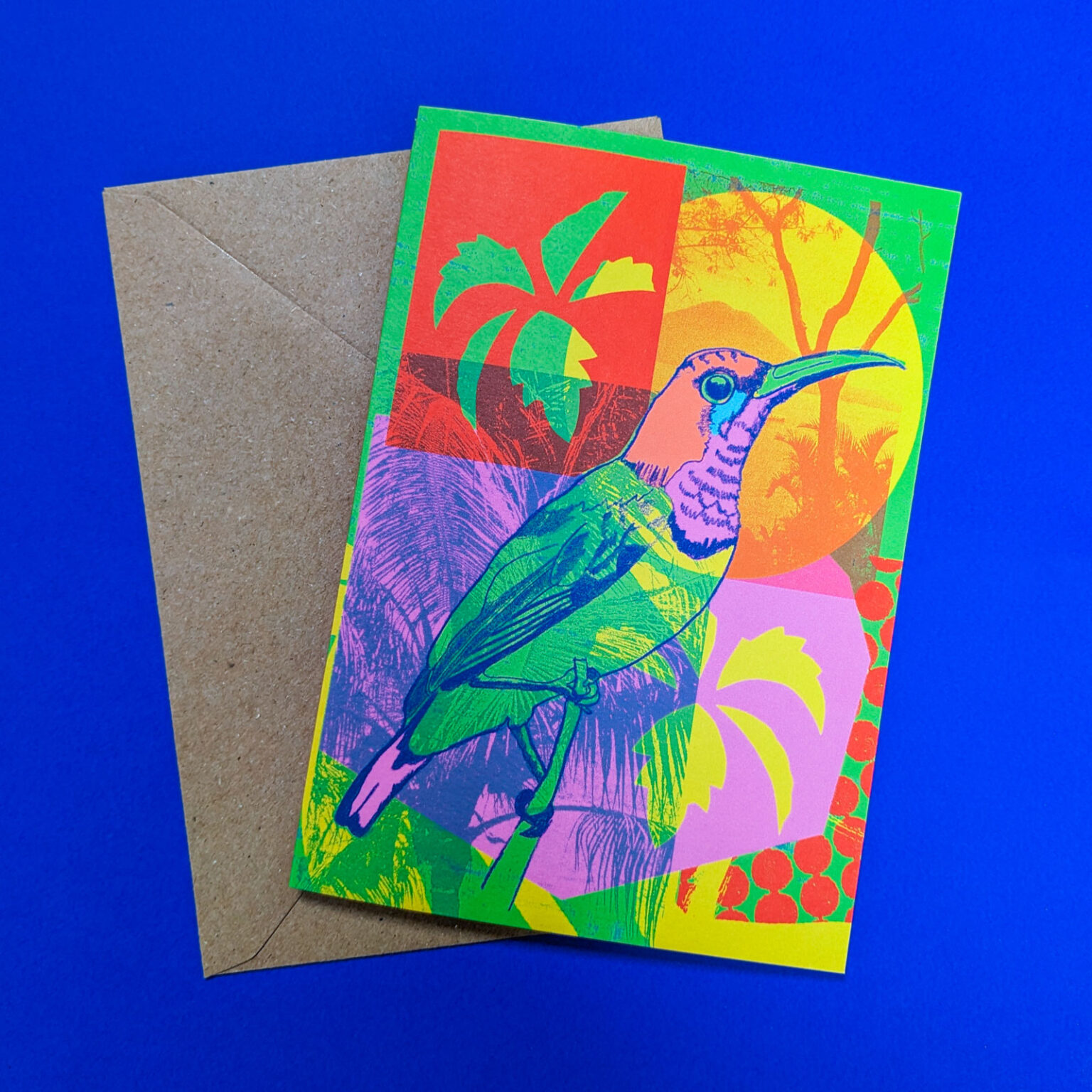 Sun Bird Greetings Card by Melissa North